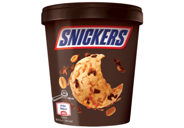 Ledai SNICKERS ICE TUBE, 320 g | BARBORA