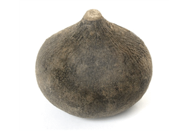 Lietuviški juodieji ridikai, 1 kg | BARBORA