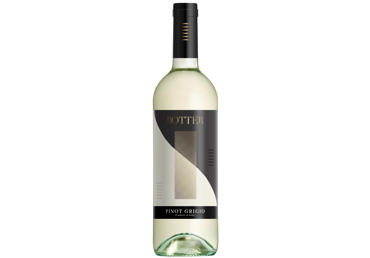 Vynas BOTTER Pinot Grigio Veneto IGT 0,75l 12% | BARBORA